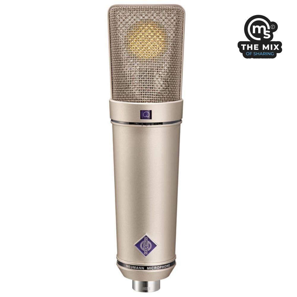 Neumann U 89 i Large diaphragm multi-pattern condenser studio ...